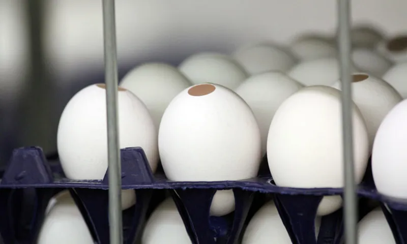 Mignon-muna valmib algusest lõpuni käsitööna